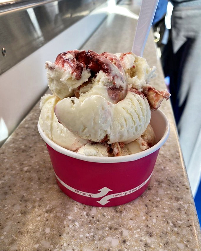 This cup doesn't just contain ice cream&mdash;it's holding what appears to be chunks of cheesecake in vanilla, creating a dessert inception that would make Christopher Nolan jealous.