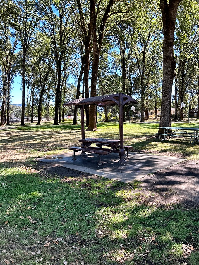 Recreation Grove Park provides shaded sanctuary where locals gather, picnic, and remember why they chose small-town living.