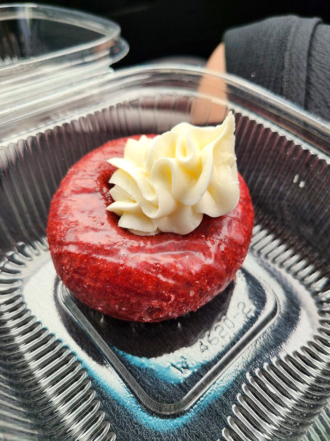 This red velvet donut with cream cheese frosting isn't just a treat&mdash;it's formal wear for your taste buds, dressed for a gala of flavor.