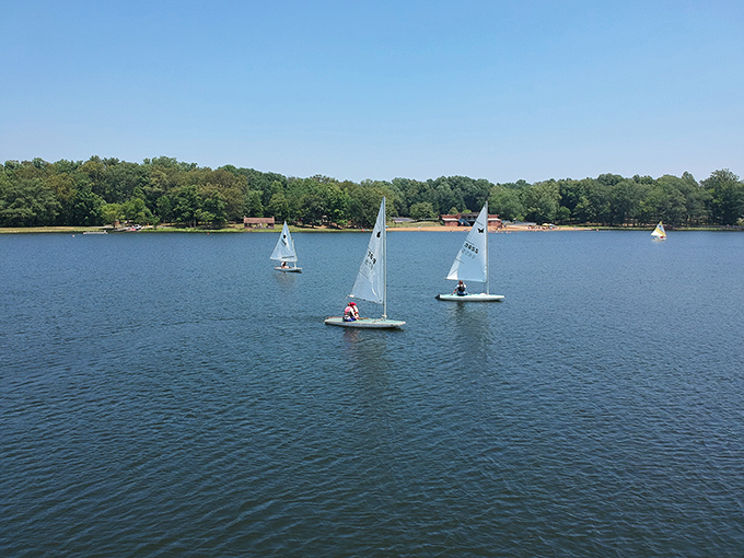 White sails catch the summer breeze on Lake Lincoln, dotting the blue water like mobile postcards from a more peaceful time.