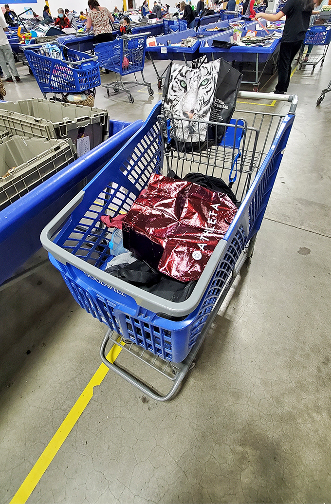 A shopping cart that tells its own story&mdash;each item representing victory in the gentle combat of outlet shopping.