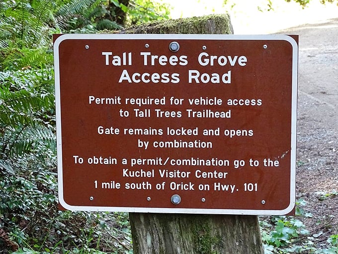 The sign doesn't mention that beyond this point, your definition of "big" will be permanently altered. There's no going back.