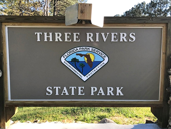 The sign says "State Park" but what it really means is "Digital Detox Center with Complimentary Bird Concerts." 