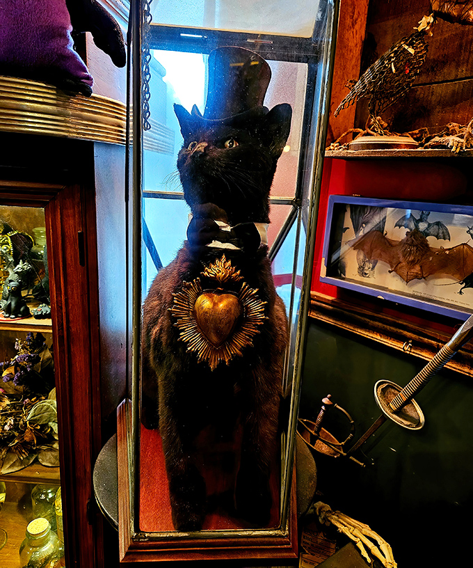 The aristocat holds court in his glass kingdom, complete with formal attire and a heart of gold—literally—making Victorian mourning jewelry seem almost ordinary.