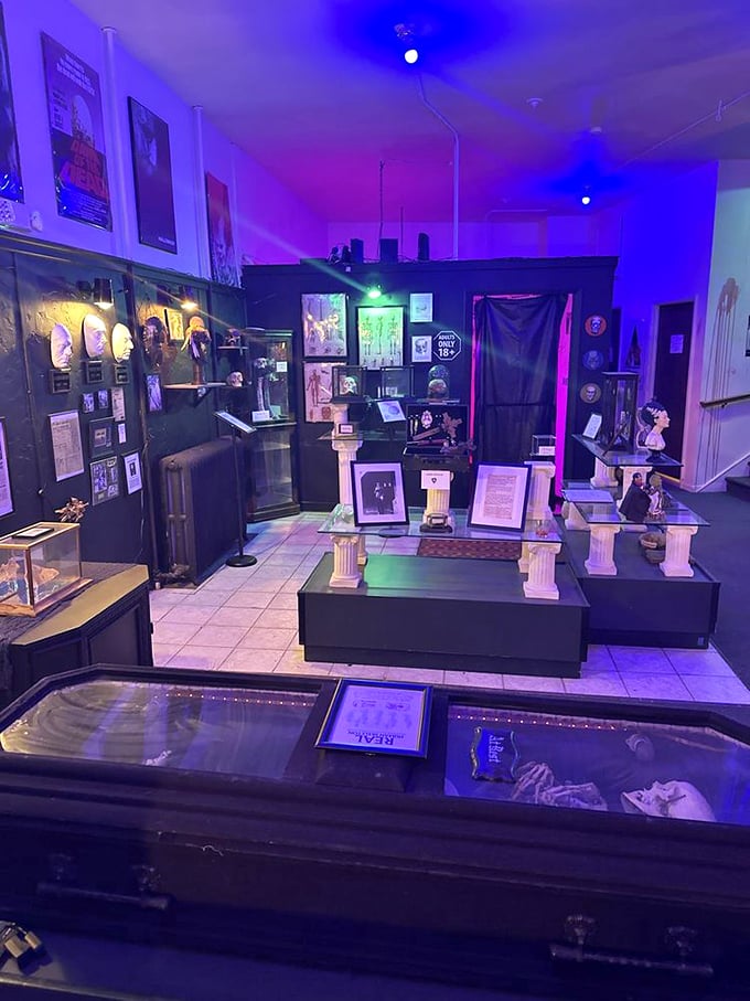 Atmospheric lighting transforms this collection of curiosities into a cabinet of wonders that would make Vincent Price nod in approval.