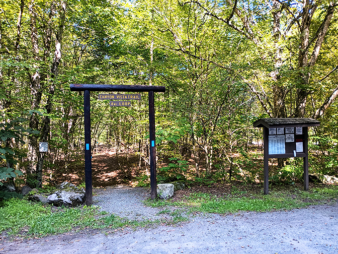Every great journey begins with a single step through a humble gateway. This trail entrance promises miles of discovery beyond its unassuming frame.