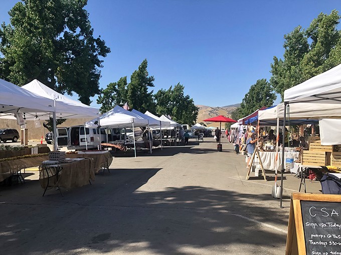 The farmers market stretches beneath mountain views, offering produce so fresh it was probably picked while you were parking.