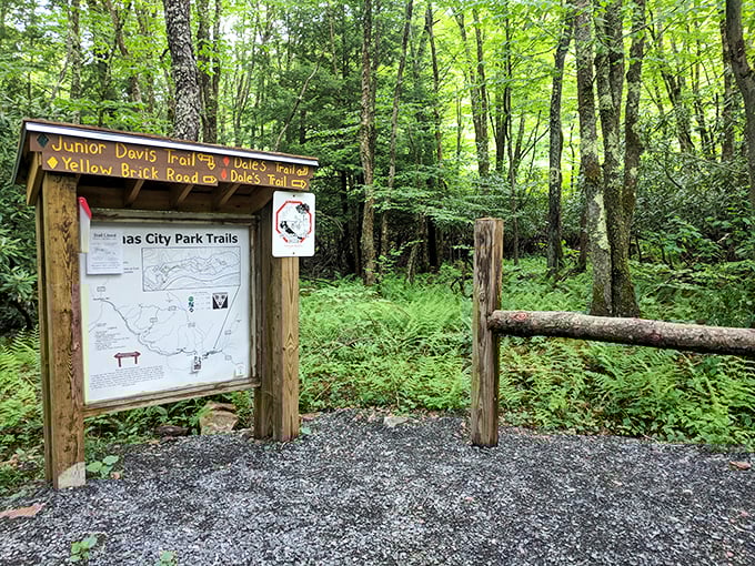 The trailhead sign promises adventures through fern-filled forests where cell service fades and conversation becomes the preferred entertainment.