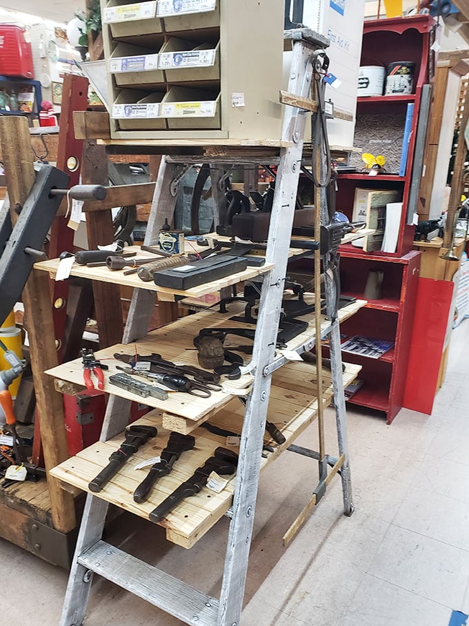 These well-worn tools represent craftsmanship from an era when "planned obsolescence" wasn't yet in the corporate vocabulary.