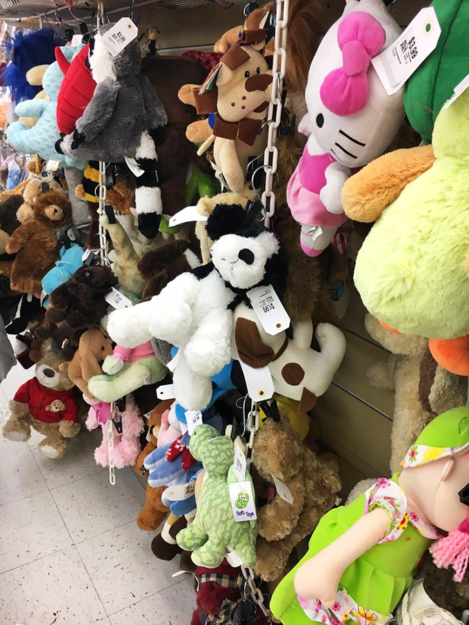 A plush menagerie awaits new homes&mdash;from Hello Kitty to anonymous teddy bears with slightly judgmental button eyes.