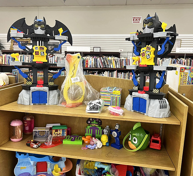 Batman would approve of this toy collection. These plastic heroes are ready for new adventures with the next generation of imaginative kids.