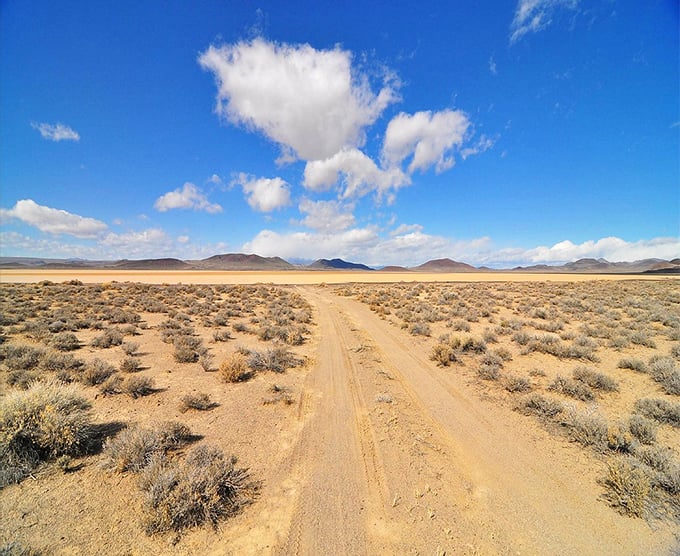 Desert roads stretch toward distant mountains under impossibly blue skies, promising adventures where the journey truly matters more than the destination.