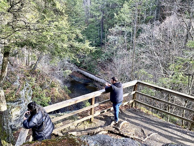 Multiple viewing platforms offer perfect vantage points for capturing Dingmans Falls' thunderous 130-foot plunge.
