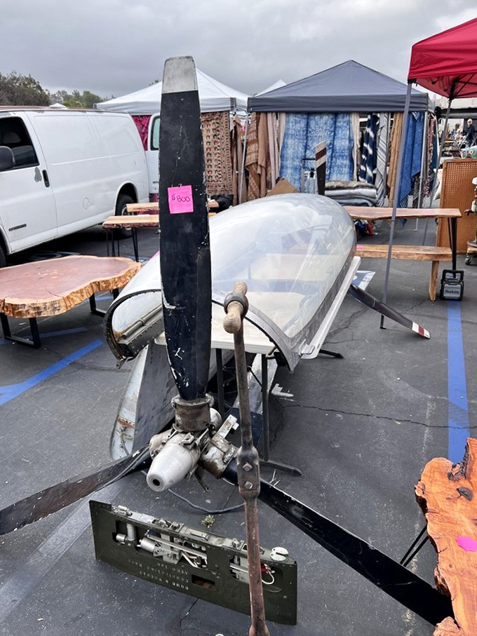 Airplane parts or modern sculpture? In the flea market universe, the line between industrial salvage and avant-garde decor blurs beautifully.