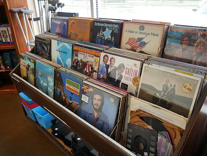 Vinyl heaven for music lovers! Each album cover art a time capsule, each record a portal to decades when music was something you could actually hold.