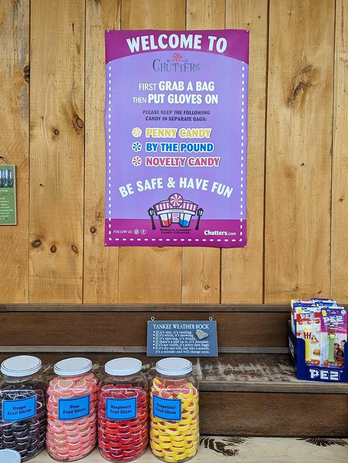 The purple welcome sign lays out the rules of engagement: grab a bag, don gloves, and prepare for a sugar safari.