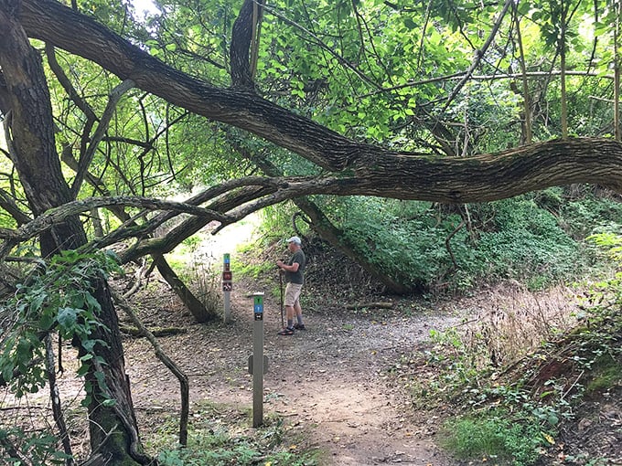 White Clay Creek State Park's trails offer the kind of natural therapy session that no amount of scented candles could ever replicate.