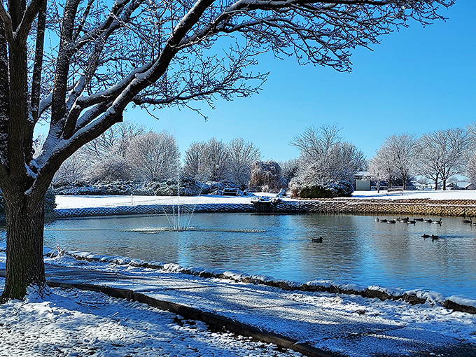 Winter in Salina paints a postcard-perfect scene. Even the ducks seem to appreciate that Social Security checks stretch further in this affordable wonderland.