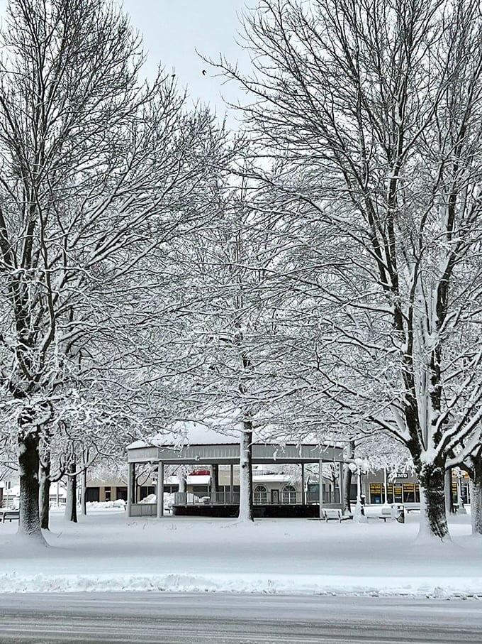 Winter transforms the town square into a snow globe come to life, the gazebo standing sentinel through Missouri's coldest months like a postcard made real.