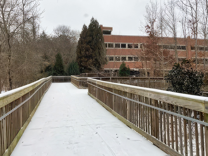 Even in winter, Hillsborough's Riverwalk maintains its charm, the wooden boardwalk dusted with snow like a scene from a holiday card.