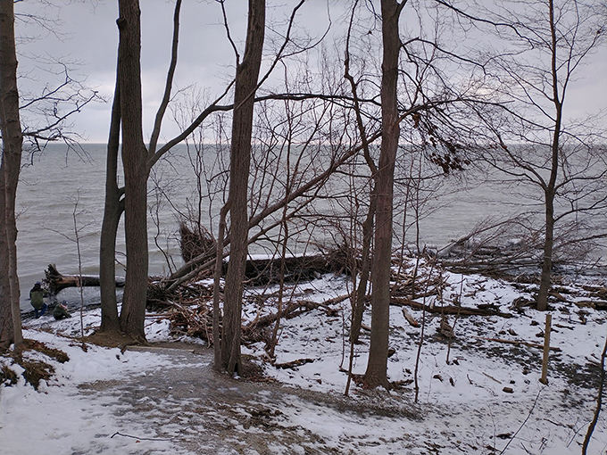 Winter transforms the shoreline into a hushed wonderland. The snow-covered path to Lake Erie offers solitude few other seasons can match.