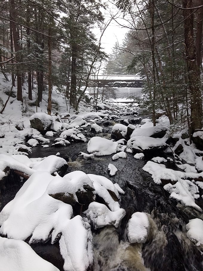 A snow-dusted stream carves its patient path through winter woods. The silence is broken only by water's persistent journey.