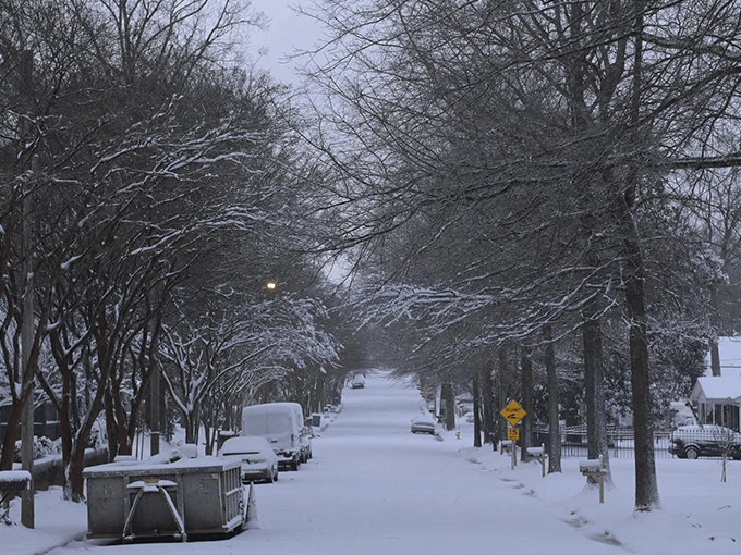 Winter in Gaffney blankets tree-lined neighborhoods in peaceful white, transforming the ordinary into a silent symphony of snowy southern charm. 
