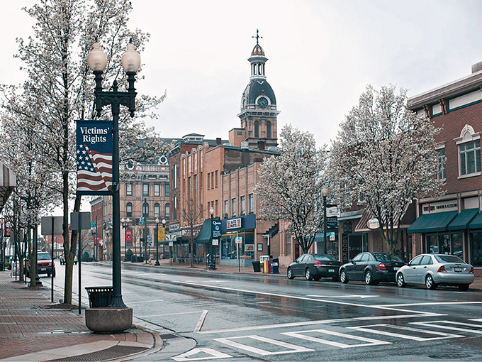Spring blossoms line Liberty Street, creating a canopy of white flowers that transform an ordinary rainy day into something from a romantic movie scene.