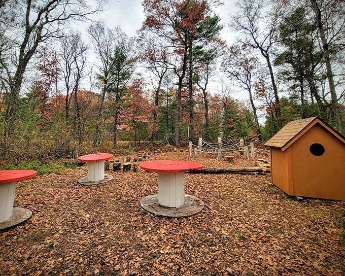 Whimsical mushroom tables and a birdhouse-inspired structure create a storybook setting at the Wise Nature Center. Even adults feel like they've stumbled into a fairy tale.