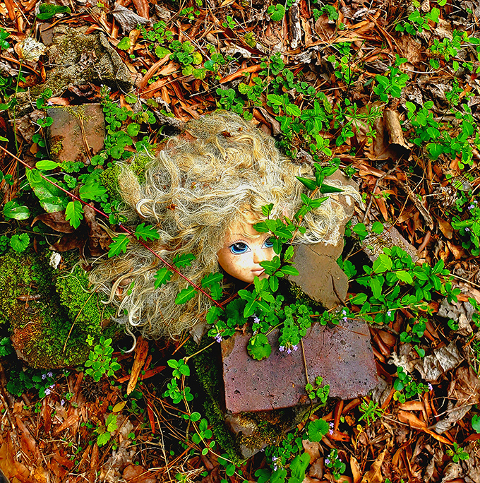 Mother Nature slowly reclaims this doll's face, with vegetation becoming her new hair in this haunting forest portrait.