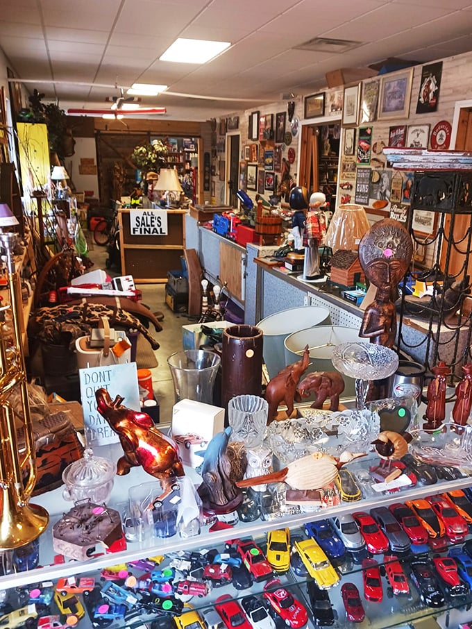 Every collector's dream&mdash;organized chaos where vintage glassware mingles with toy cars, proving one person's clutter is another's decorating inspiration.