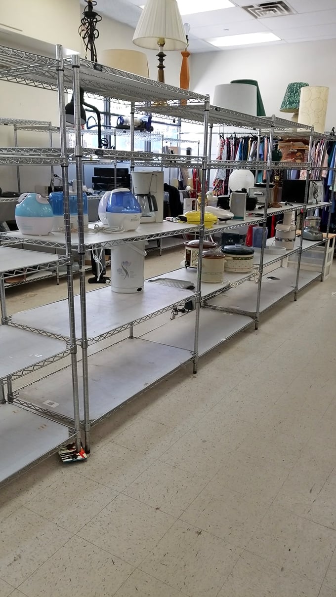 Small appliances stand at attention, each one silently promising, "I still work perfectly, and I cost less than your lunch."