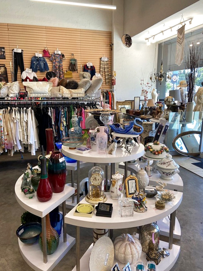 Eclectic collections blend vintage charm with modern necessities, creating shopping adventures that surprise at every turn.