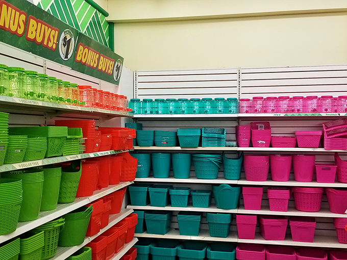 Baskets and bins &ndash; the Marie Kondo starter kit for people who want organization without the premium price tag.