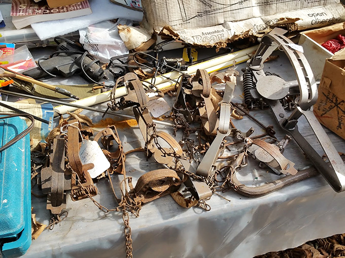 Rusty relics with stories to tell. These weathered traps and tools have graduated from utility to conversation pieces.