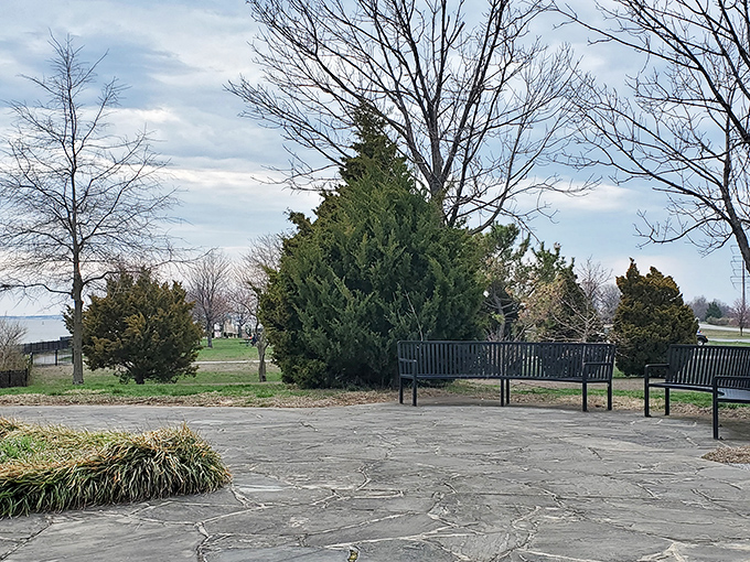 A stone patio sanctuary where benches invite contemplation and evergreens stand guard against the chaos of everyday life.