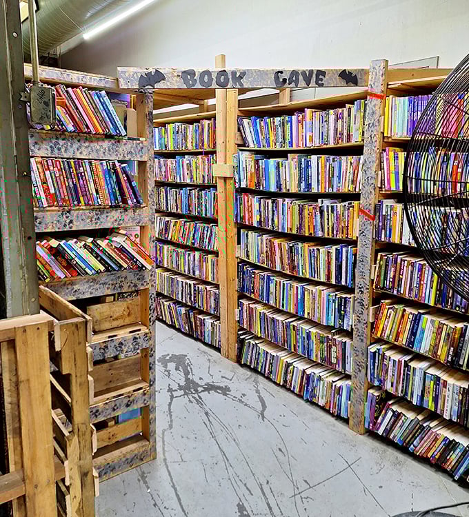 The "Book Cave"—where literary spelunkers discover hidden gems and forgotten classics amid rustic wooden shelving that screams "authentic find."