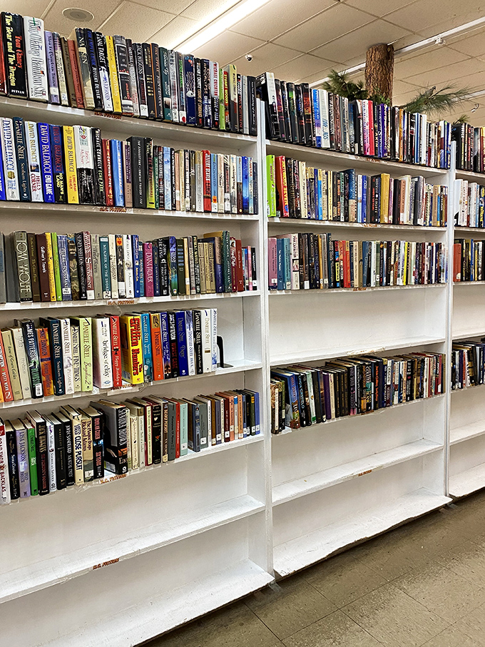 The book section rivals small-town libraries, offering literary adventures for less than the price of a streaming subscription.