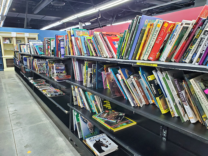 The book section: where paperback adventures and hardcover wisdom wait patiently for their next reader.