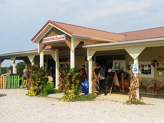 Branstool Orchards offers that increasingly rare experience&mdash;connecting directly with the source of your food while supporting the families who grow it.
