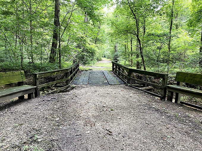 This bridge doesn't just connect two sides of a trail&mdash;it connects you to a simpler time when crossing a stream was an adventure worth savoring.