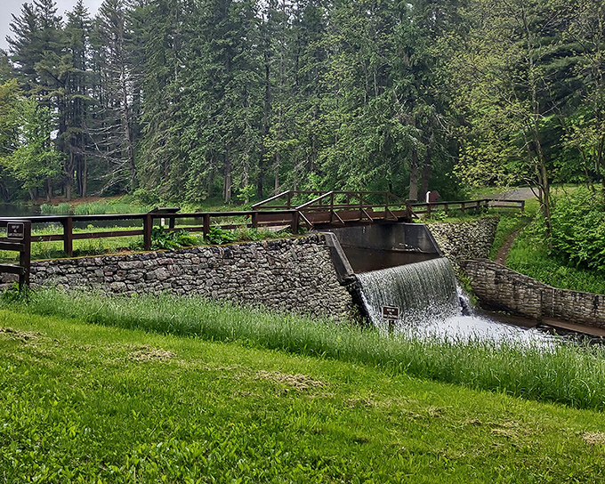 This picturesque bridge and waterfall combo looks like it belongs on a postcard—or as the desktop background for someone dreaming of escape.