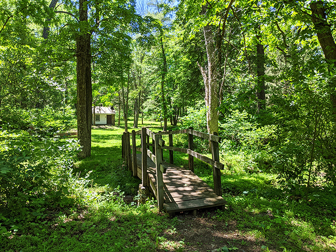 This charming footbridge leads to a clearing that feels like stepping into a storybook setting where woodland creatures might invite you for tea.