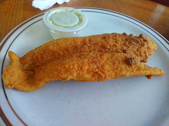 Catfish fried to golden perfection, shaped like it's still swimming to your plate. A Southern classic that deserves your immediate attention.