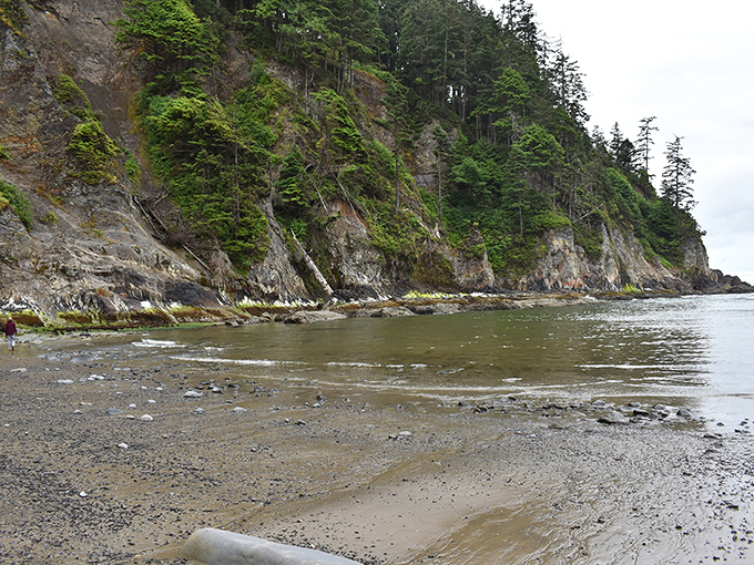 Geological masterpieces sculpted over millennia – moss-draped cliffs reveal layers of time while waves continue their patient work below.