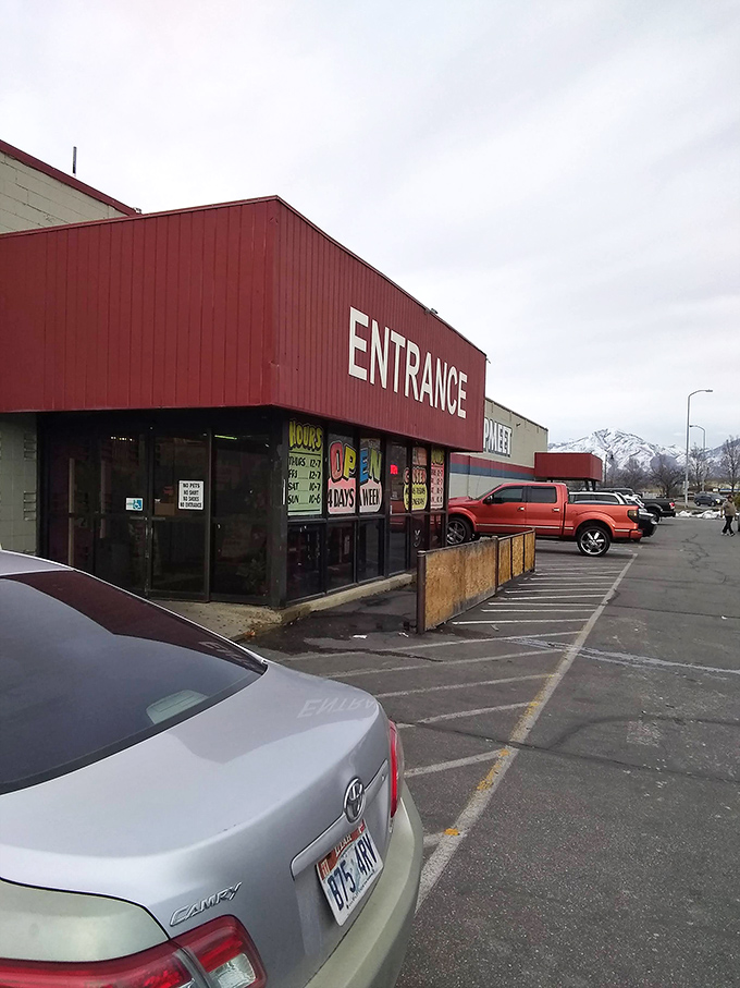 The unassuming entrance belies the wonderland within, like finding Narnia through a department store wardrobe.