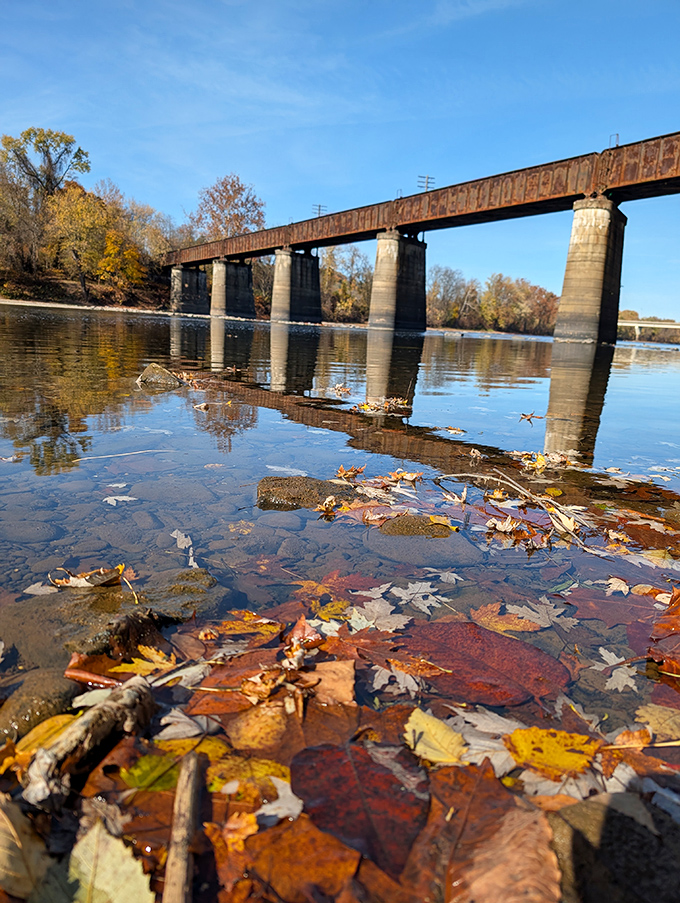 Fall's final performance&mdash;leaves take their curtain call on the water's surface before winter claims the stage.