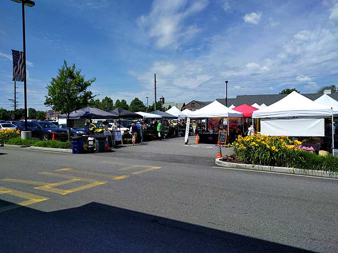 The farmers market transforms parking lots into bustling foodie havens, where local producers share their passion under summer skies.