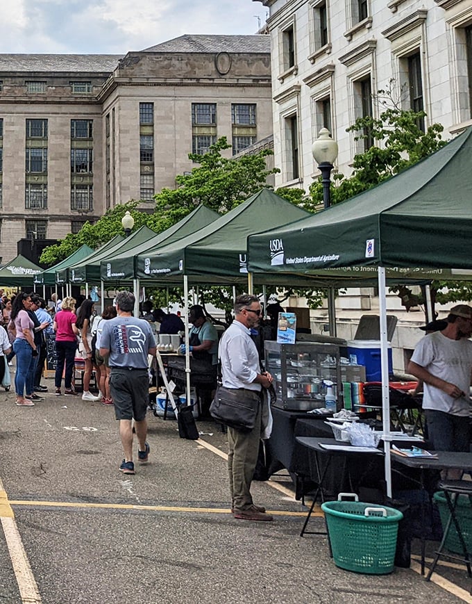 The local farmers market showcases regional bounty under simple tents, where conversations with farmers might last longer than your weekly Zoom meetings.