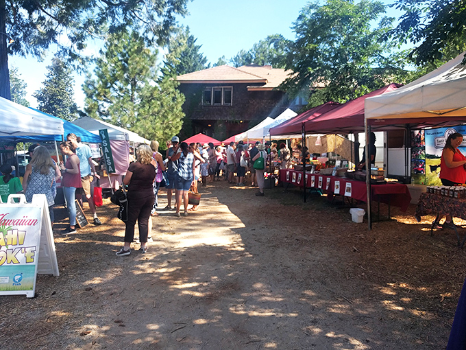 This farmers market isn't just shopping &ndash; it's a Thursday social club where the password is "locally grown" and everyone's invited.